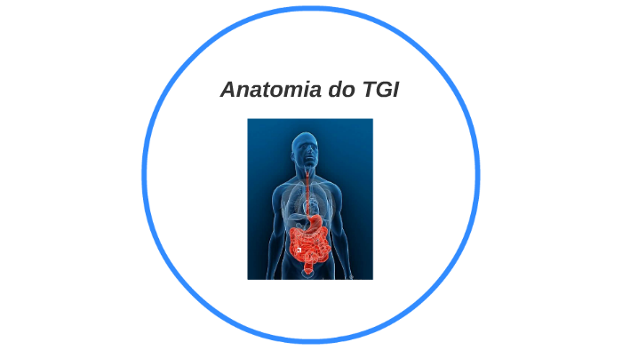Anatomia do TGI by Tiago Guimarães Reis on Prezi