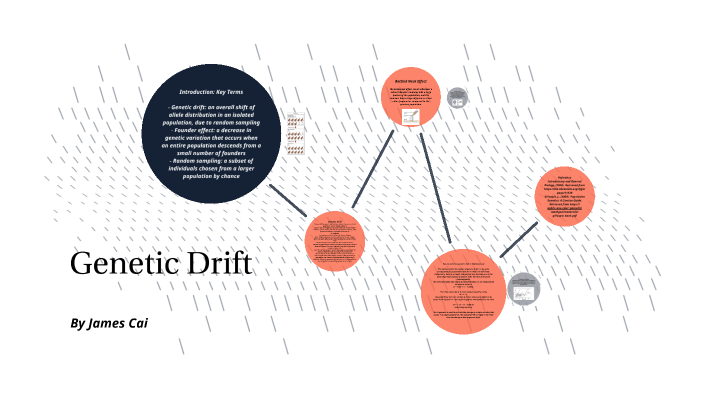 Genetic Drift by on Prezi