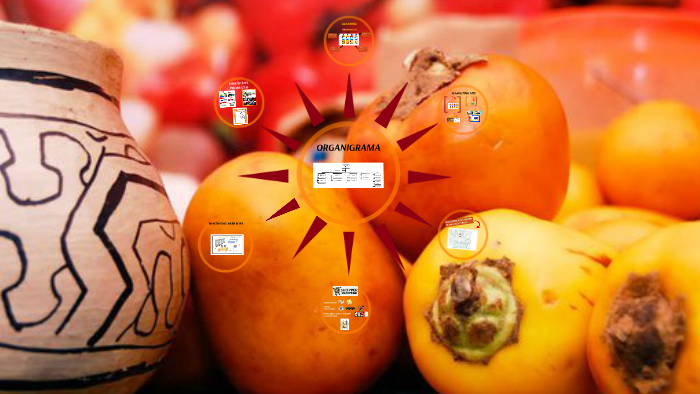 ORGANIGRAMA by Brenda Teran on Prezi