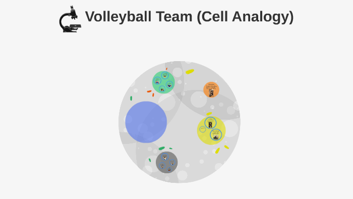 Volleyball Team (Cell Analogy) by Katie Welniak on Prezi