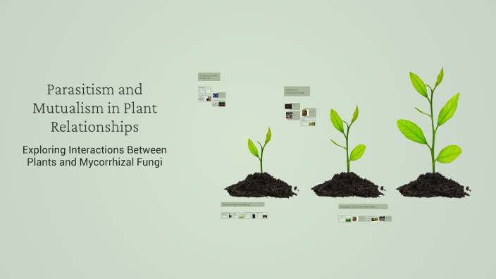 Parasitism and Mutualism in Plant Relationships by Jurnee Pea on Prezi