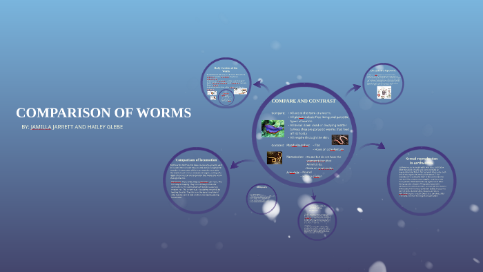 COMPARISON OF WORMS by Hailey Glebe on Prezi