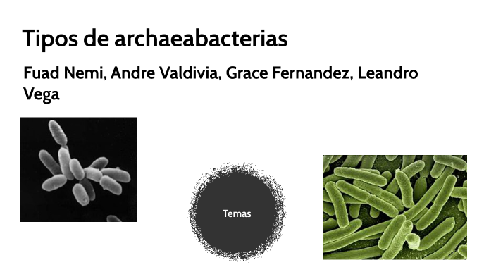 Tipos de Arqueas by Andre Valdivia on Prezi
