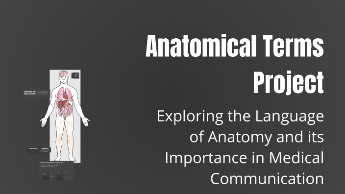 Anatomical Terms Project by meya k on Prezi