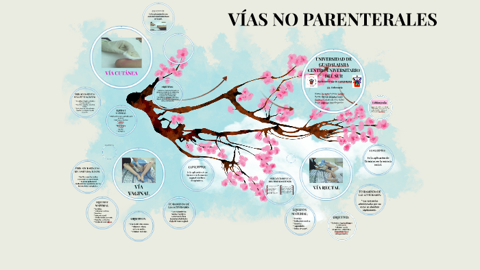 VÍA CUTÁNEA by PATRICIA RIVERA on Prezi