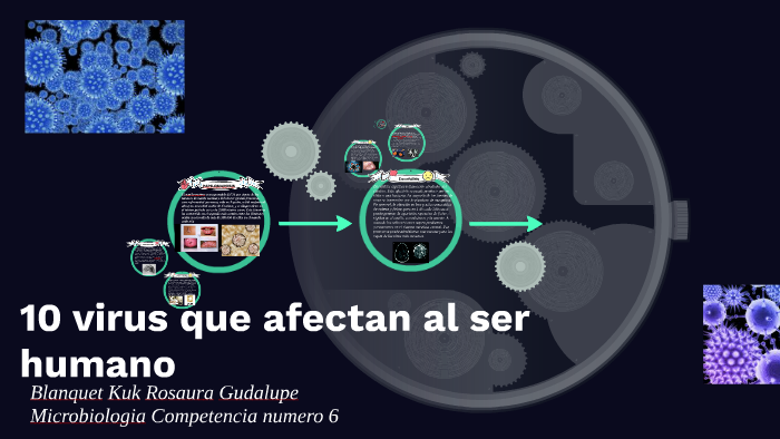 10 virus que afectan al ser humano by Rosaura Blanquet on Prezi