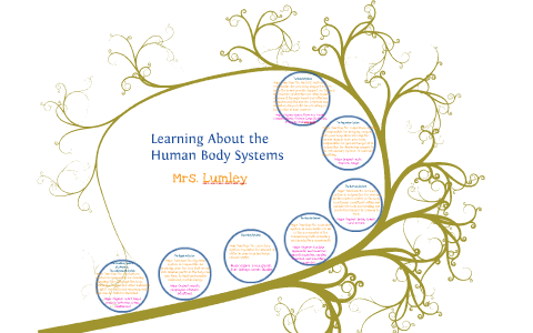 5th Grade Human Body Systems by on Prezi