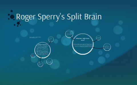 Roger Sperry's Split Brain by Bayang Flores on Prezi