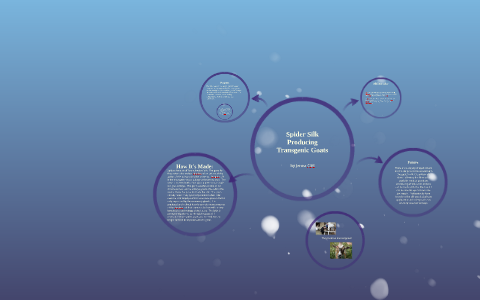 Spider Silk Producing Transgenic Goats by Jenna Clift on Prezi