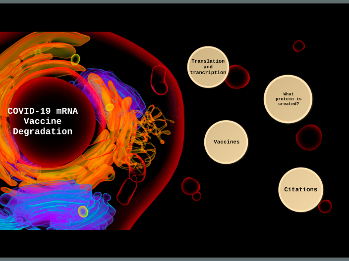 mRNA project by maram gharaibeh on Prezi
