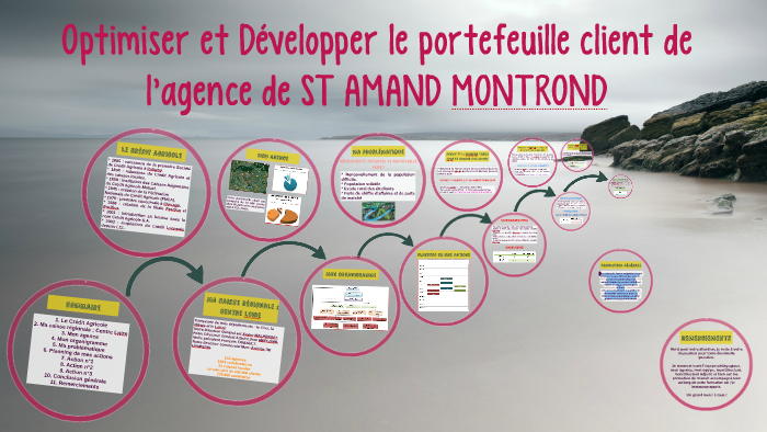 Optimiser et développer le portefeuille client de l'agence d by attaché ...