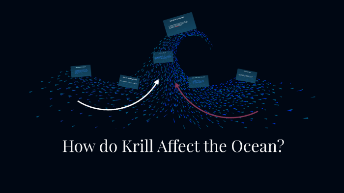 How do Krill Affect the Ocean? by Laura Burrell on Prezi