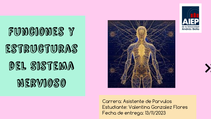 Funciones y estructuras del Sistema Nervioso by Valentina Gonzalez Flores on Prezi