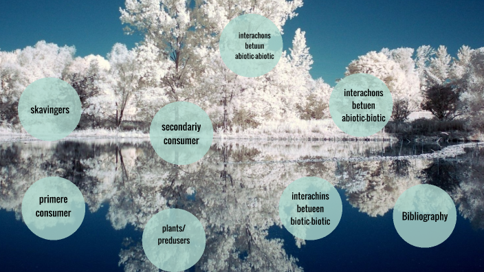 Adria Berry's ecosiston protect by Adria Doe on Prezi