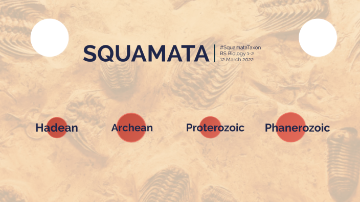 Order Squamata Timeline by Yna Yolanda Stanley on Prezi