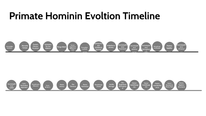 Primate/Hominin Evolution Timeline by Aidan Gallagher on Prezi