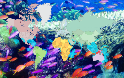 The coral reefs biome project by jerry glynn on Prezi