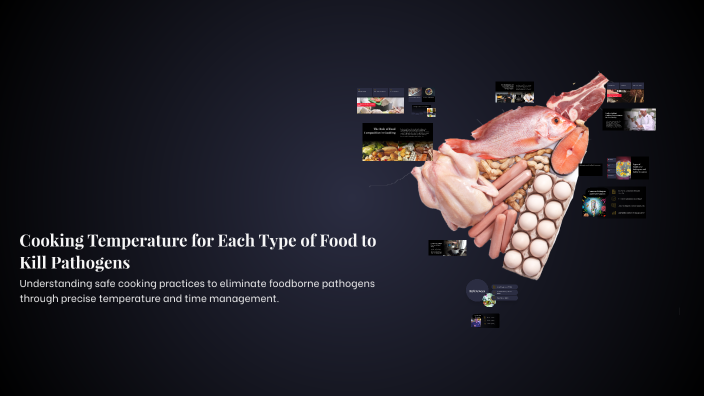 Cooking Temperature for Each Type of Food to Kill Pathogens by Jomana ...