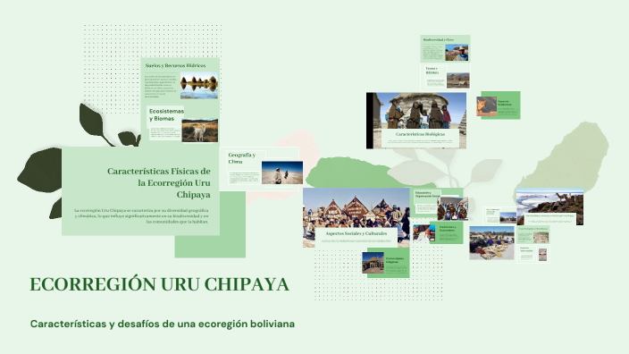 ECORREGIÓN URU CHIPAYA by Damaris Escobar Mamani on Prezi
