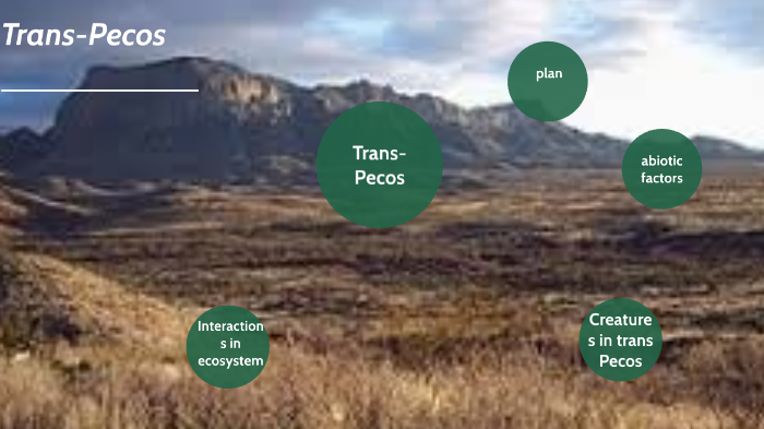 my ecosystem trans pecos by Julian Garcia on Prezi