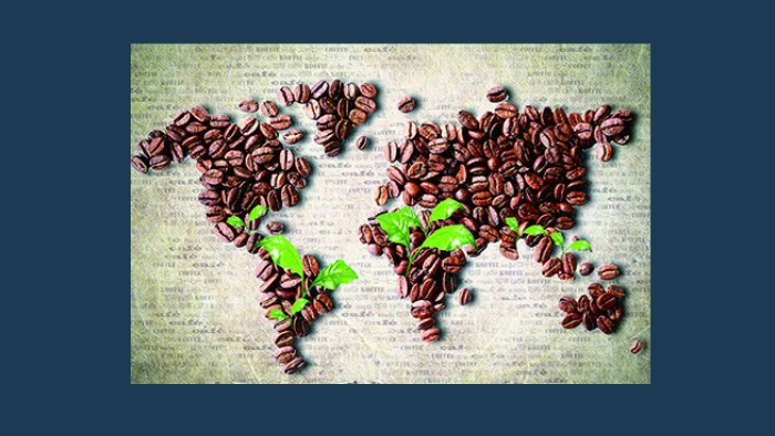 Starbucks Coffee Master Program by Nicole Lavigne on Prezi