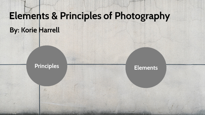 Elements of design in photography & Principles of design potography by ...