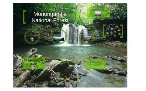 Monongahela National Forest by amber coleman on Prezi