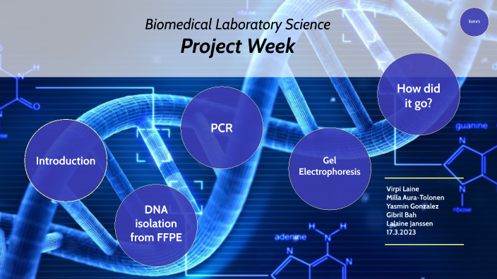 DNA isolation from a FFPE samples, PCR and Gel electrophoresis by ...