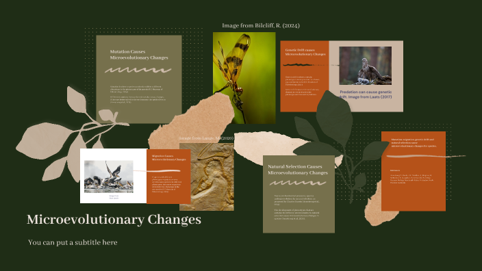 Microevolutionary Changes by Nicholas Mann on Prezi