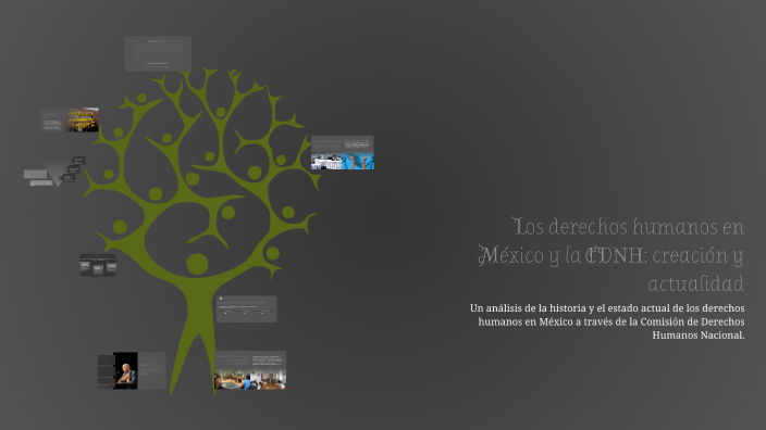 Los derechos humanos en México y la CDNH: creación y actualidad by LUIS ...