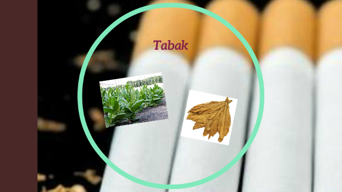 Tabak by Mirko Garlisi on Prezi