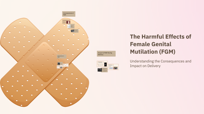 The Harmful Effects of Female Genital Mutilation (FGM) by Hodo Abdullah ...