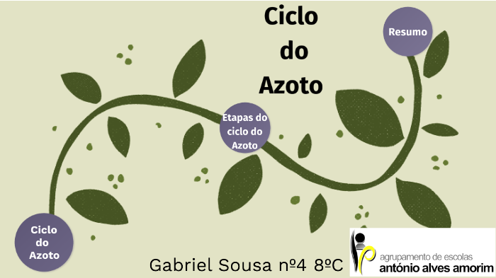 Ciclo do Azoto by Gabriel Sousa on Prezi