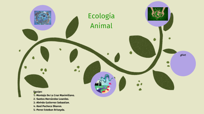 Ecología Animal by Lourdes Santos on Prezi Next