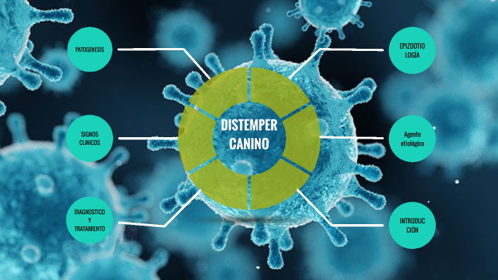 Distemper by uc sur on Prezi