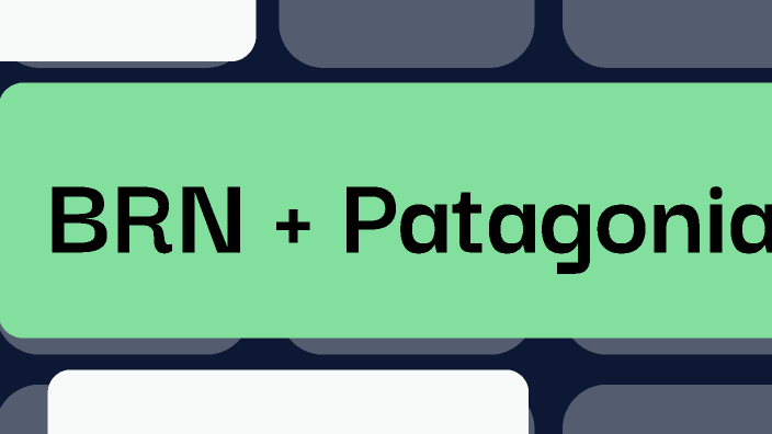 BRN ecosystem map by Emma Stevenson on Prezi