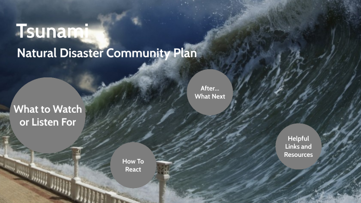 Tsunami Community Disaster Plan by Zander Hamm on Prezi