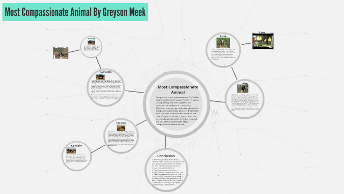Most Compassionate Animal by Greyson Meek on Prezi