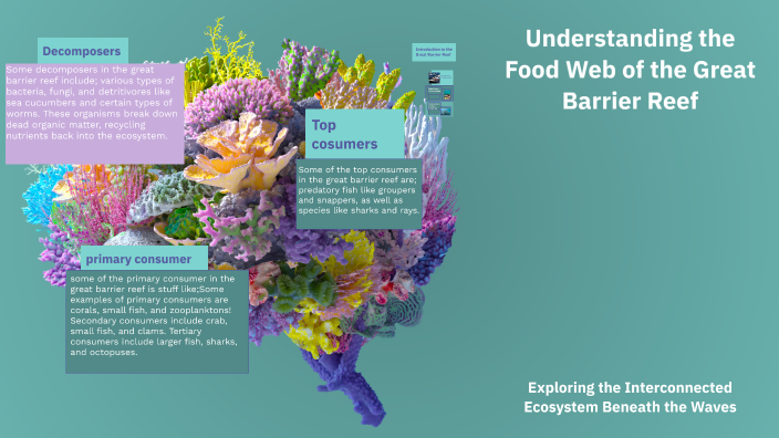 Understanding the Food Web of the Great Barrier Reef by Khael Uriel on ...
