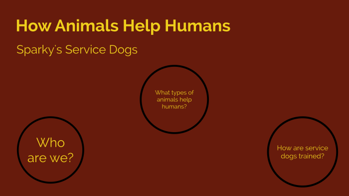 Animals Help Humans by Taylor Randle on Prezi