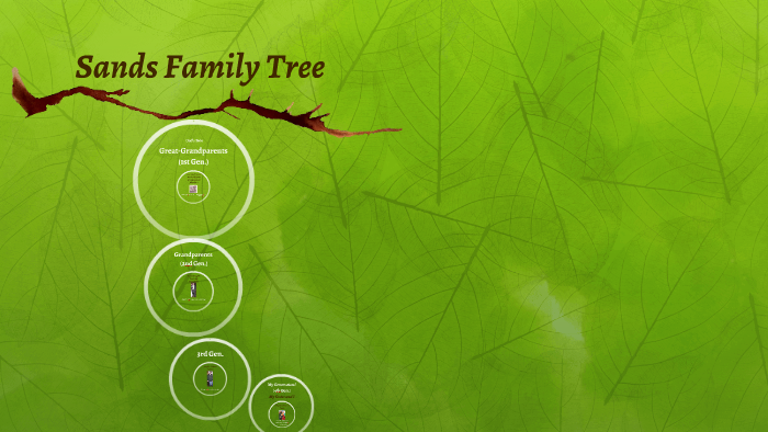 Sands Family Tree by Abbey Sands on Prezi