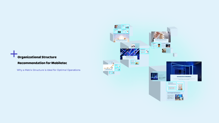 Organizational Structure Recommendation for Mobiletec by jeronimo ...