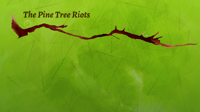 The Pine Tree Riots by abbie bernier on Prezi