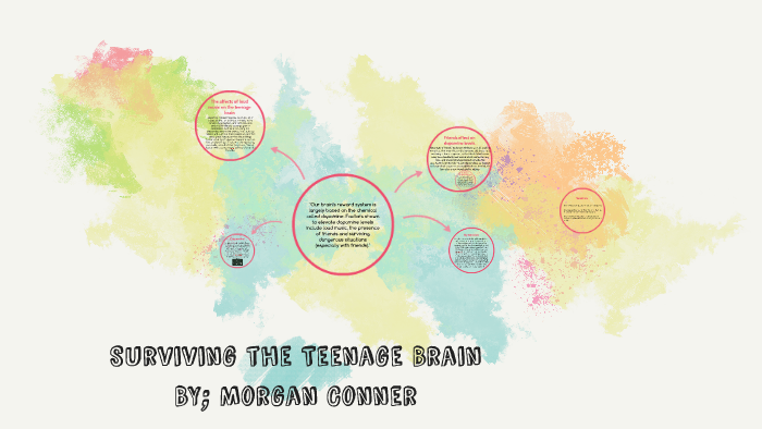 Surviving the Teenage Brain by Elita Hoogenboom on Prezi