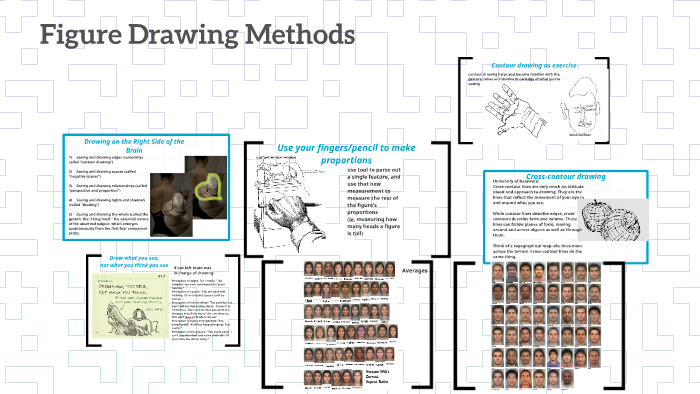 Figure Drawing Methods by Tiffany Case on Prezi