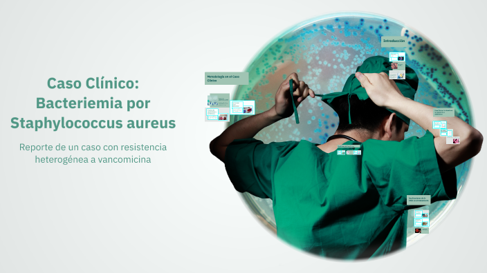 Caso Clínico: Bacteriemia por Staphylococcus aureus by william ...