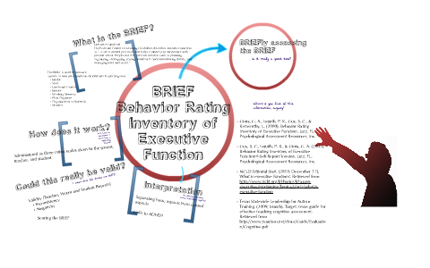a BRIEF assessment (Behavior Rating Inventory of Executive Function) by ...
