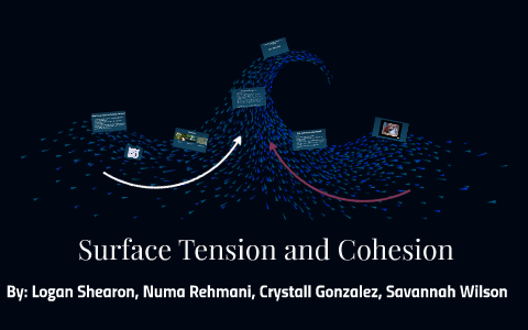 Surface Tension and Cohesion of Water by Logan Shearon