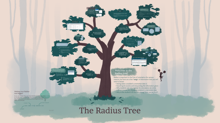 The Radius Tree by Olivia Christie on Prezi