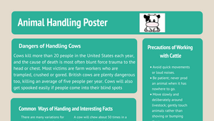 Animal Handling Poster by Emily Lingelbach on Prezi Design